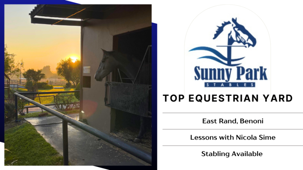 Horses for Sale - Sunny Park Stables